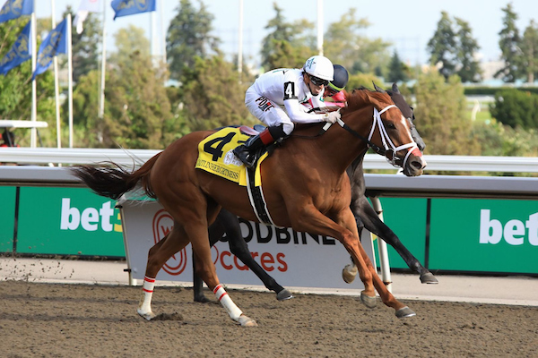 Jeremy Plonk: 21 Stakes in 21 Sentences | Saturday, June 28, 2025 | Xpressbet